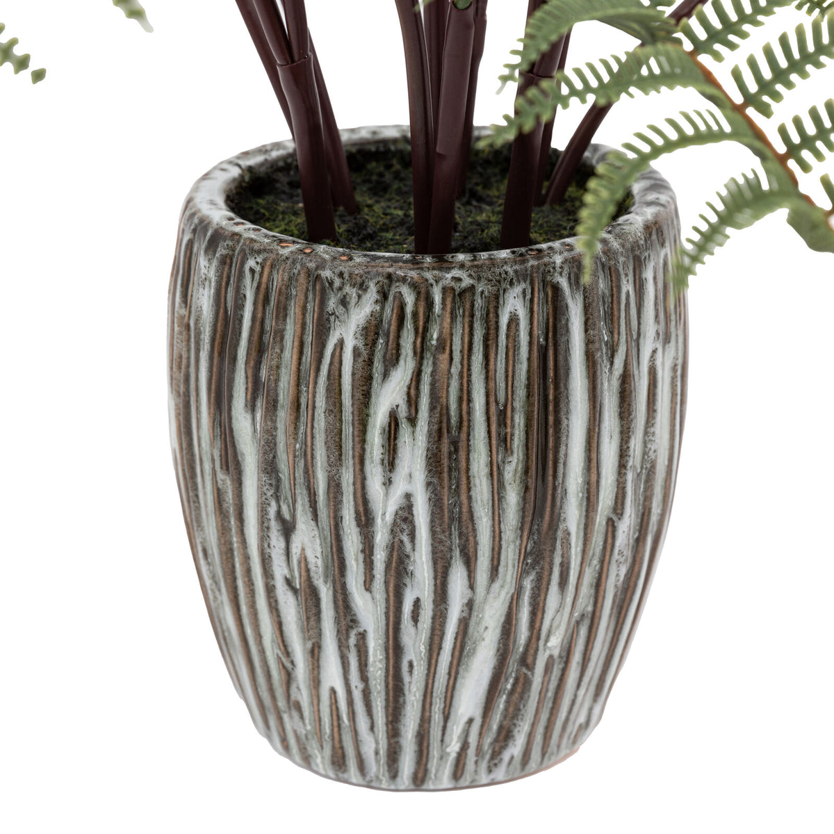 Tall Fern in Decorative Pot – White Lotus Living